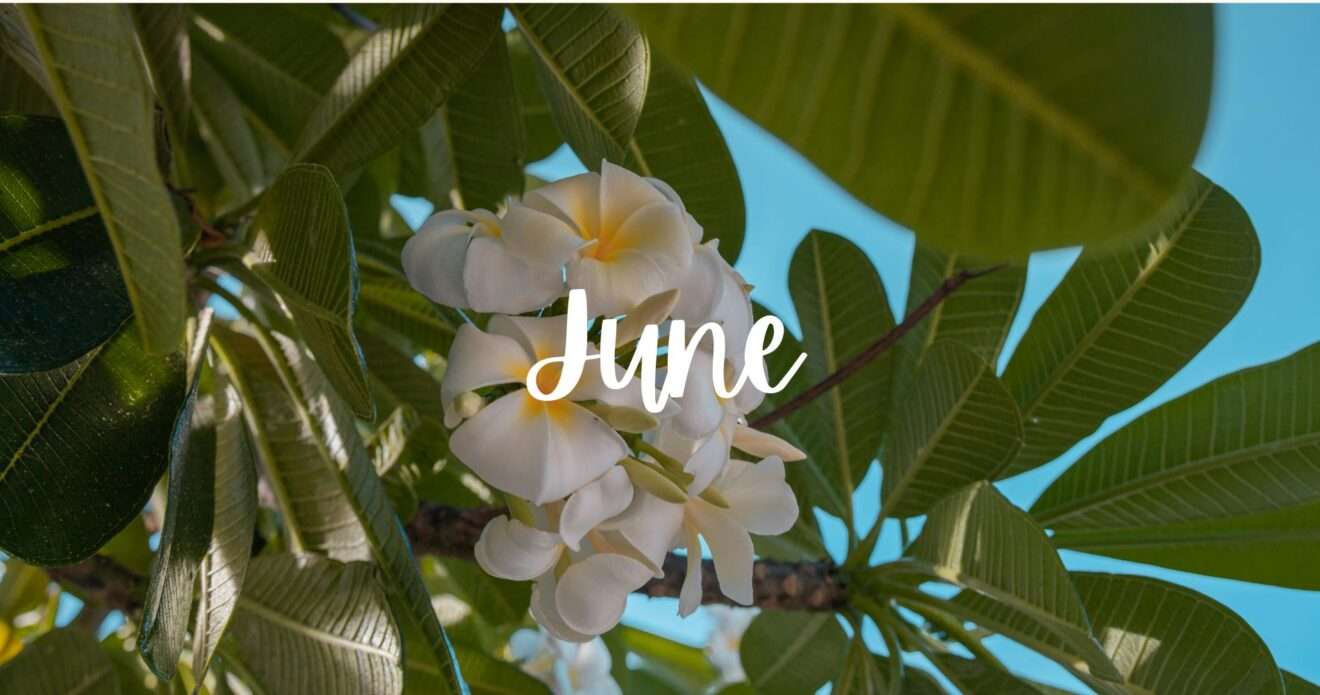 ハワイで「グリーン・フィー（気候変動対策税）」導入へ｜2026年から宿泊税アップ